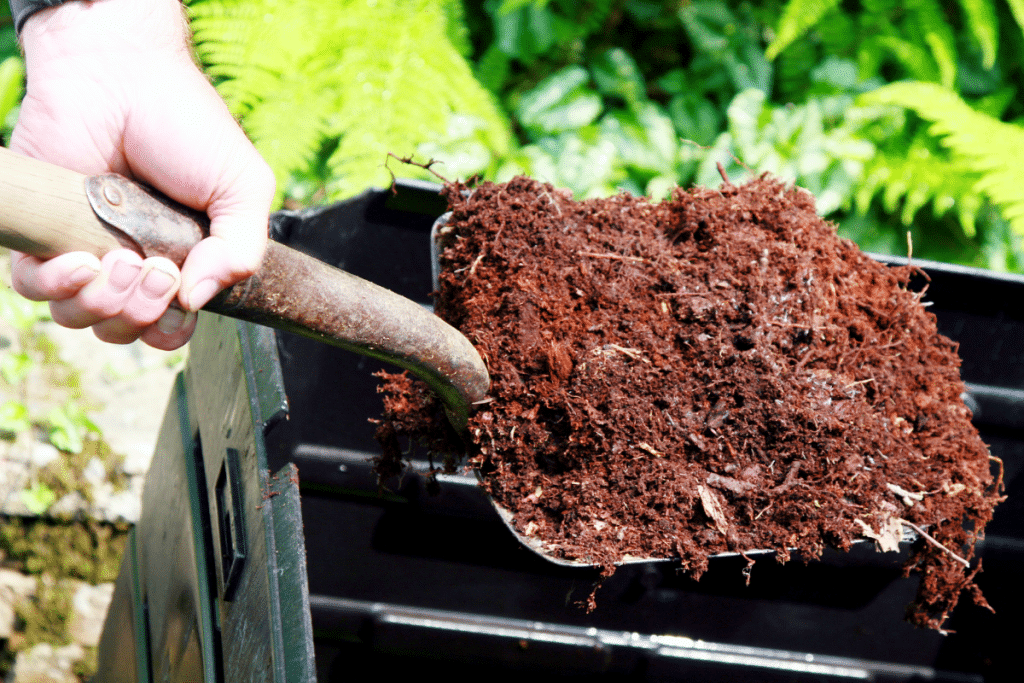 Voici les 6 types de plantes qui réagissent mal au compost : ne les ...