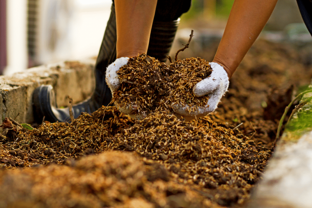 Comment savoir si le compost est prêt à être utilisé comme engrais dans ...
